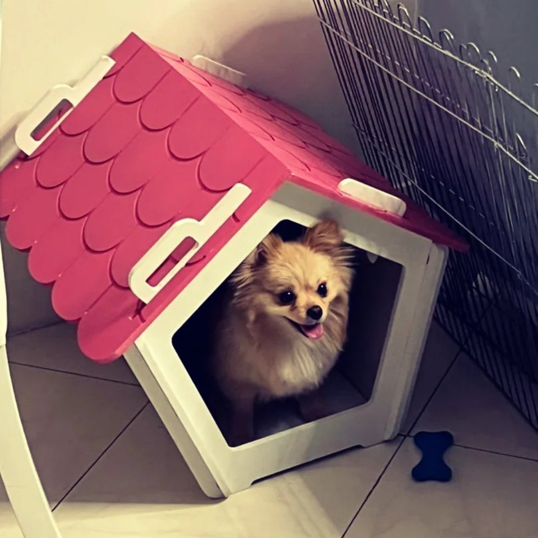 خرید و قیمت لانه سگ و گربه از غرفه گالری اروشا