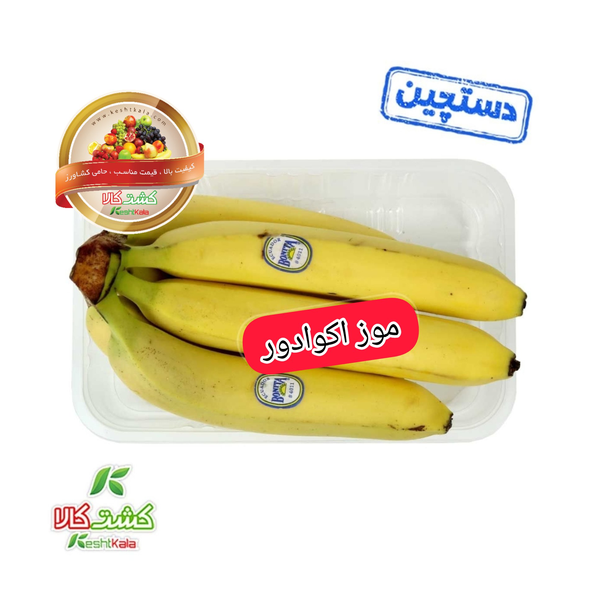 خرید و قیمت موز اکوادور دستچین 1000 گرمی از غرفه کشت کالا